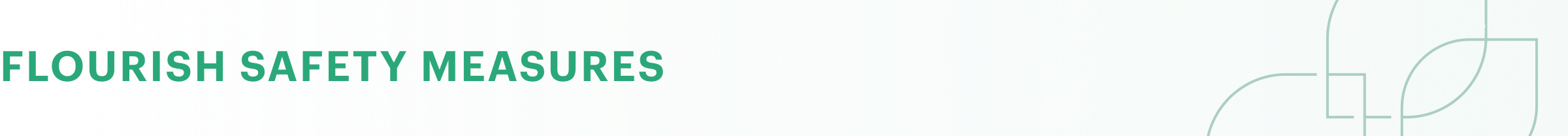 Fraud prevention: Client best practices and Flourish safety measures